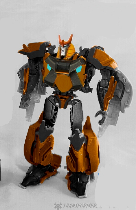 Digibash: - RID2015 themed repaints | TFW2005 - The 2005 Boards